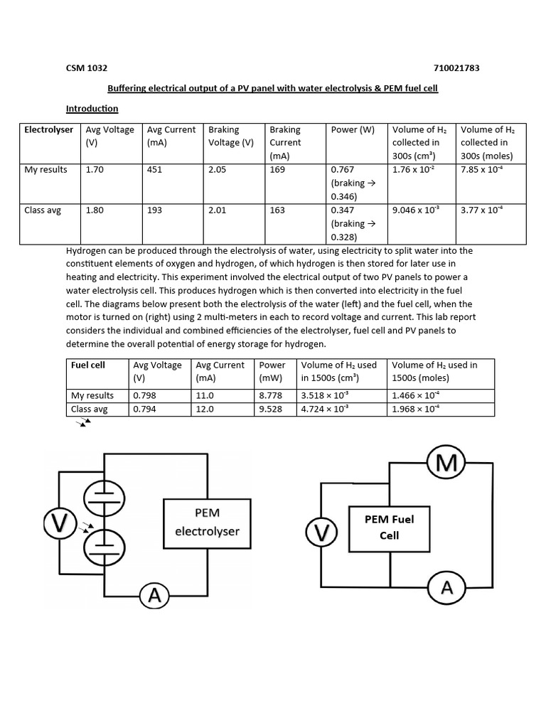 Fuel Cell Lab Report | PDF | Renewable Energy | Energy Storage