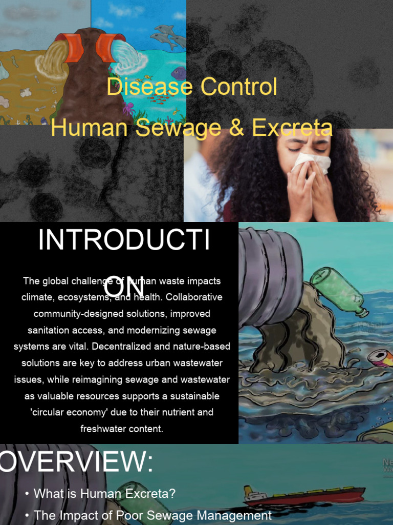 Disease Control Human Sewage & Excreta | PDF