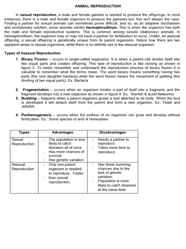 Animal Reproduction | PDF | Reproduction | Nature
