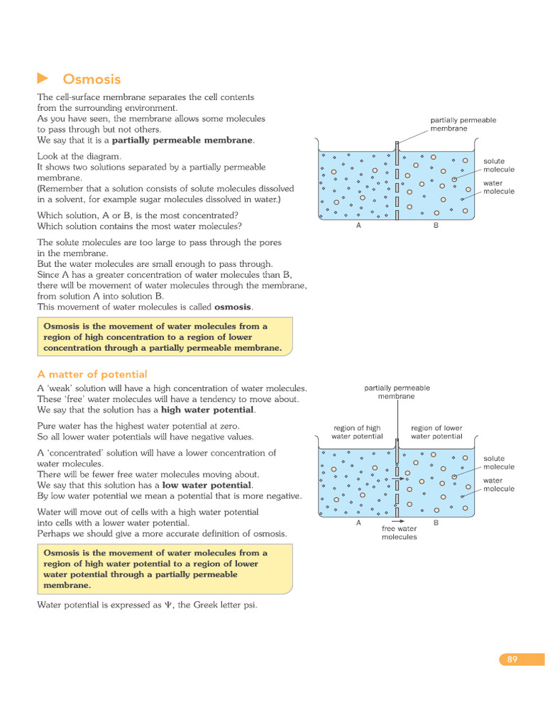 Book Page Osmosis | PDF