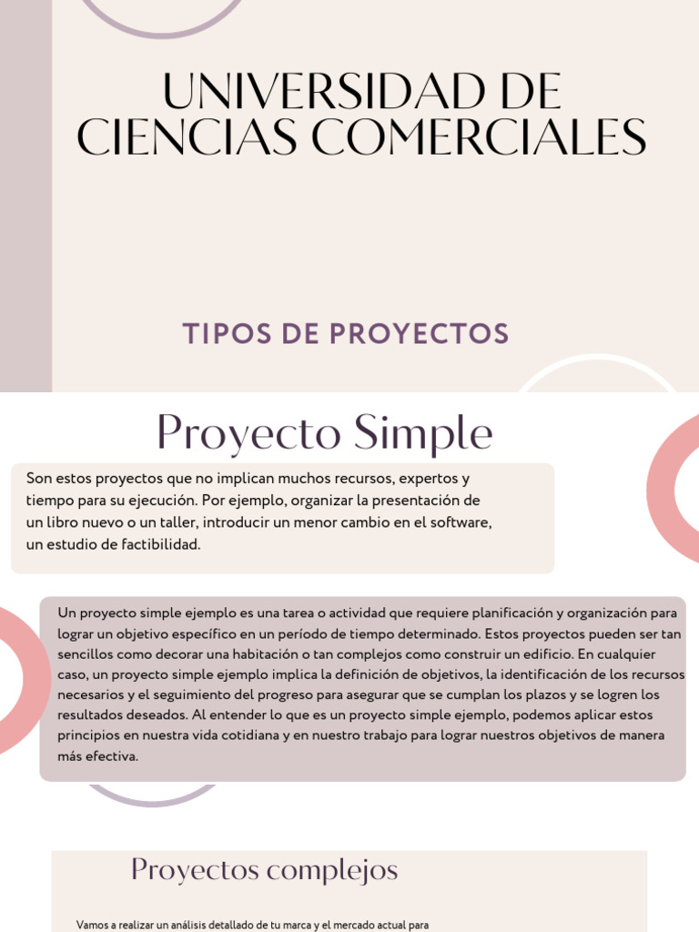 Tipos de Proyectos | PDF