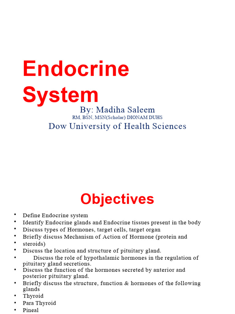 Overview of the Endocrine System | PDF | Endocrine System | Adrenal Gland