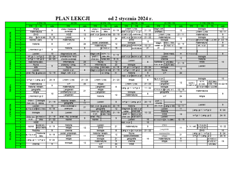 Kopia Plan Styczeń 2024 | PDF