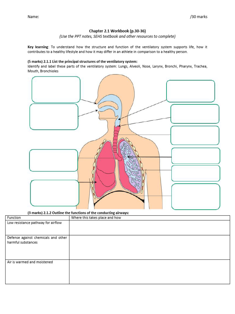 Sehs2.1 Workbook | PDF | Breathing | Respiratory System