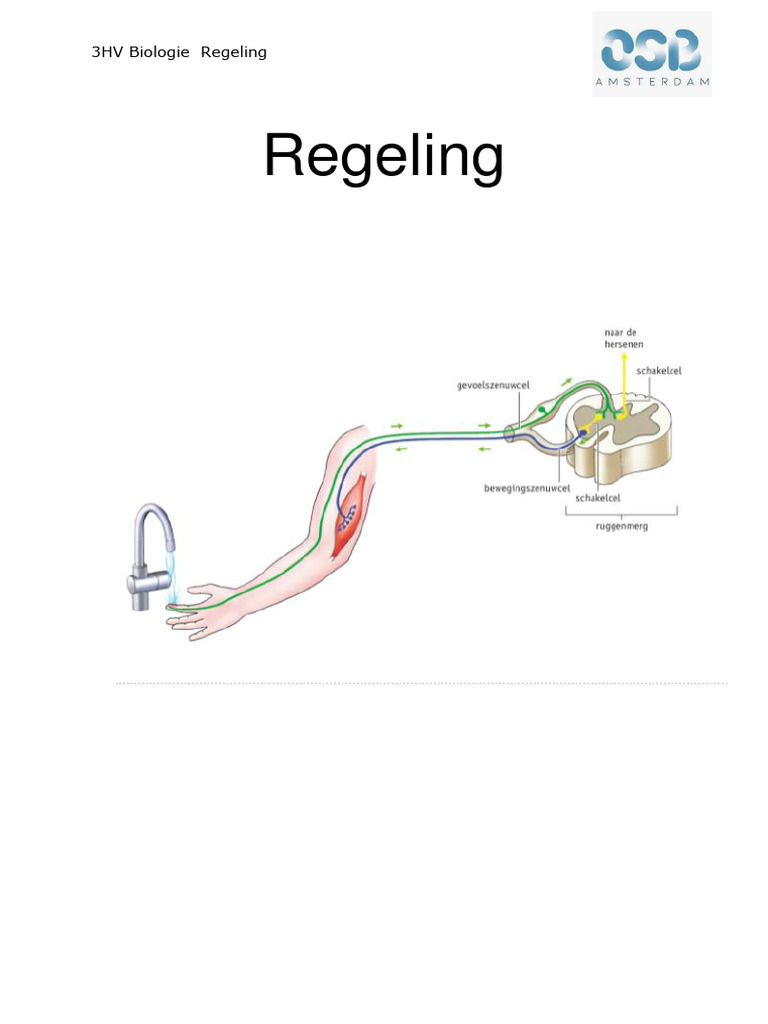 Reader Regeling 2022 | PDF Reader Regeling 2022 | PDF