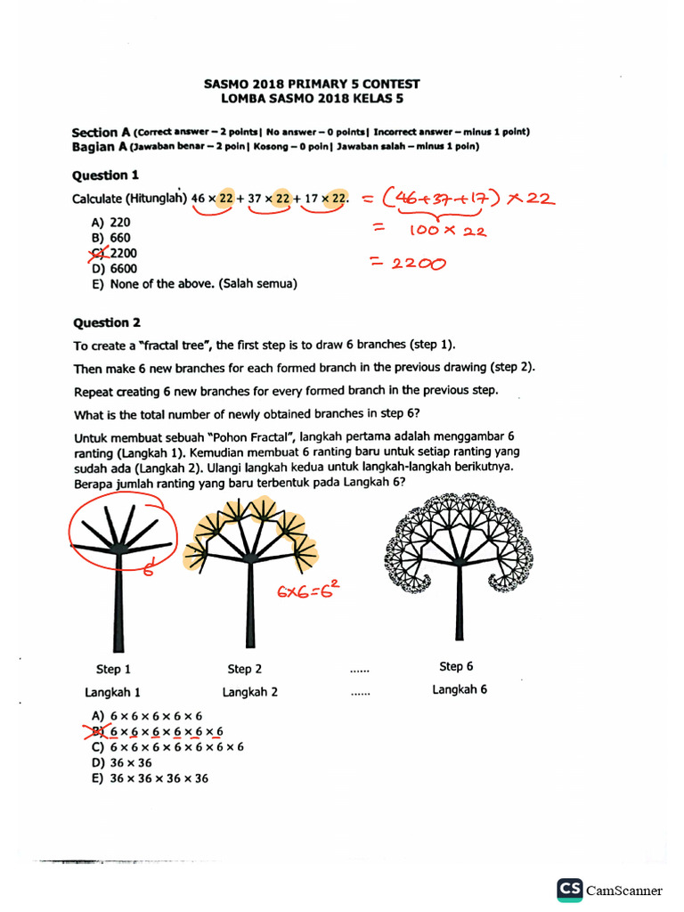 SASMO Grade 5 Past Papers PDF | PDF