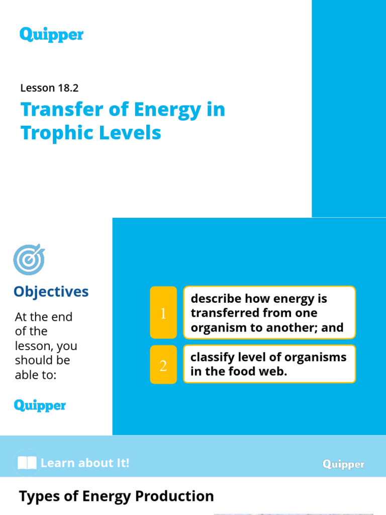 Science 8 18.2 Transfer of Energy in Trophic Levels | Download Free PDF ...