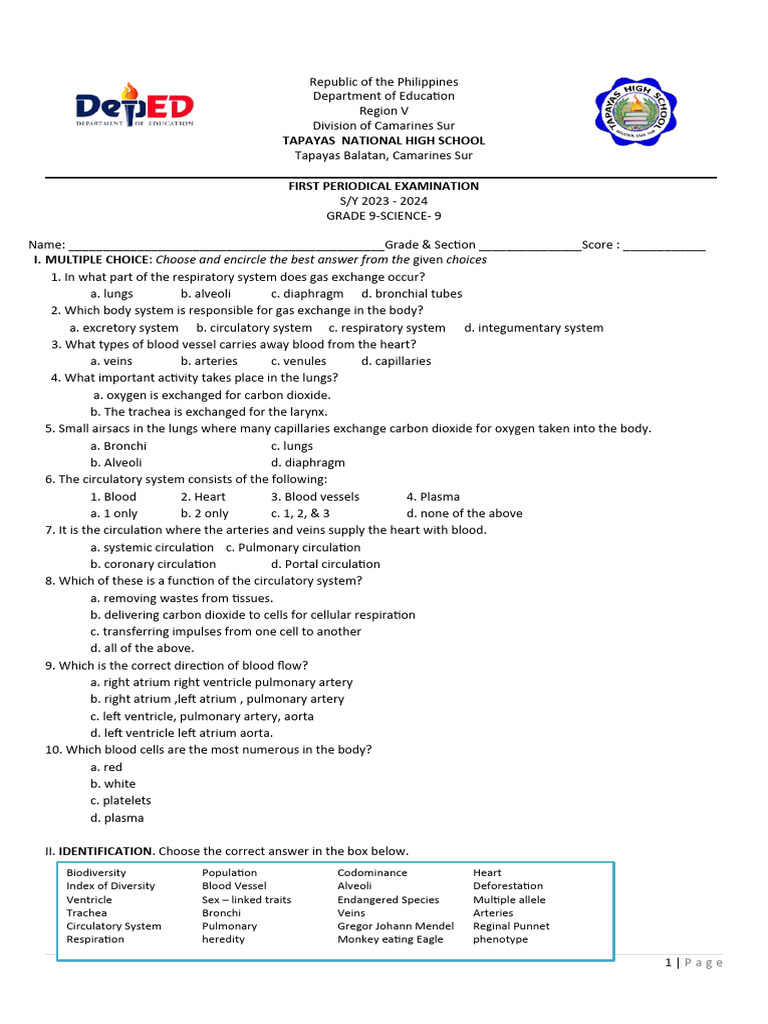 G9 Science 1st Quarter | PDF | Lung | Artery