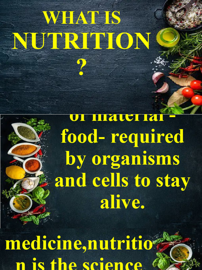 What Is Nutrition | PDF