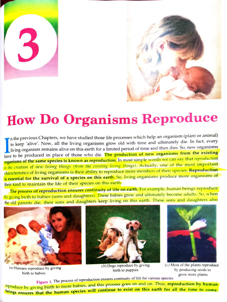 Chapter 3 Biology | PDF