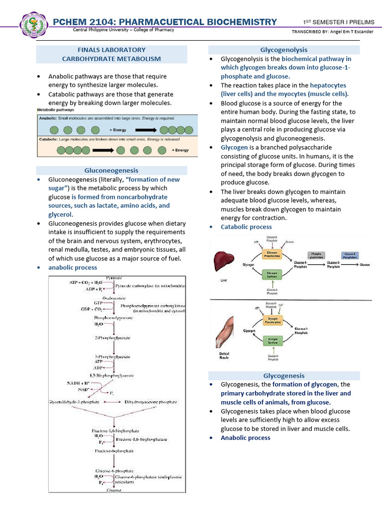 Biochem Lab Finals | PDF | Diet & Nutrition | Chemistry