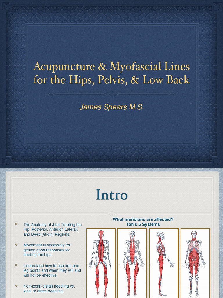 Hips Pelvis Pr Pdf Pdf Pelvis Hip