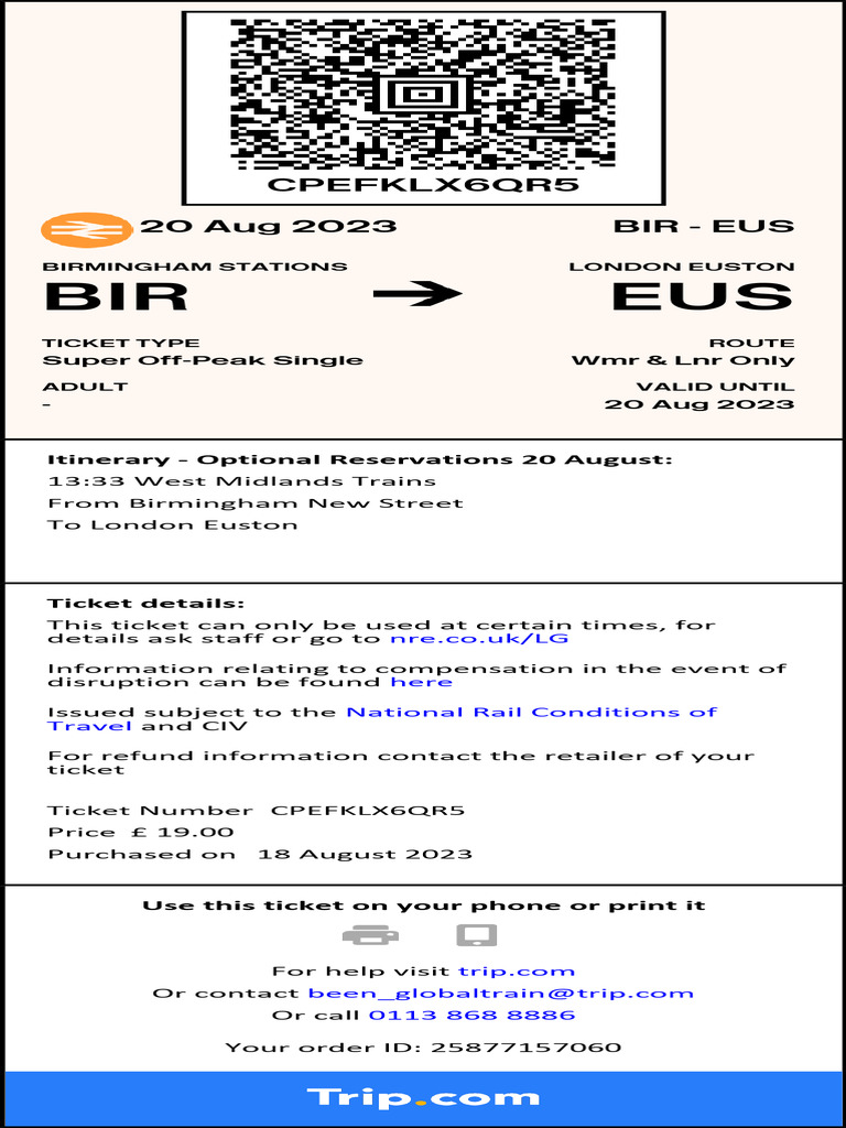 E Ticket | PDF