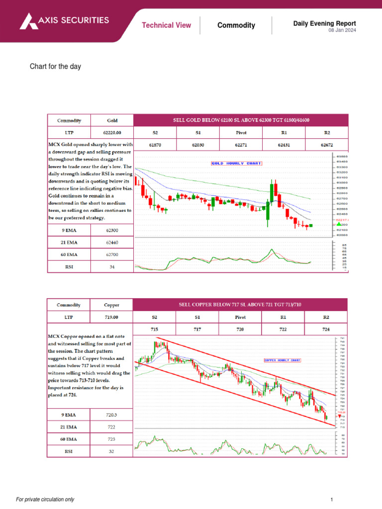 Commodity Evening Report Jan 2024 | PDF | Investing | Securities (Finance)