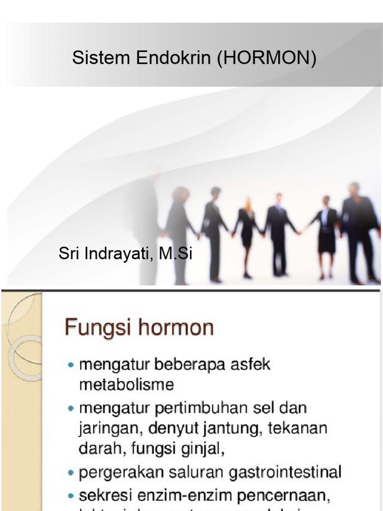 Sistem Endokrin | PDF