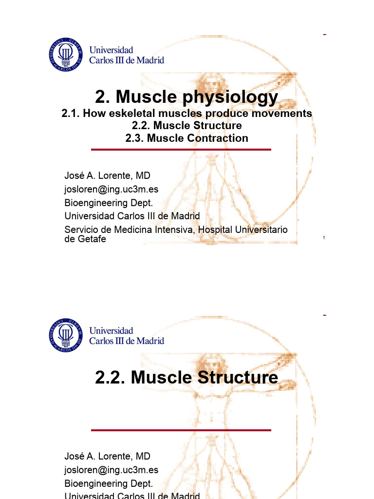 Muscle Tissue Structure and Function | PDF | Skeletal Muscle | Muscle Contraction