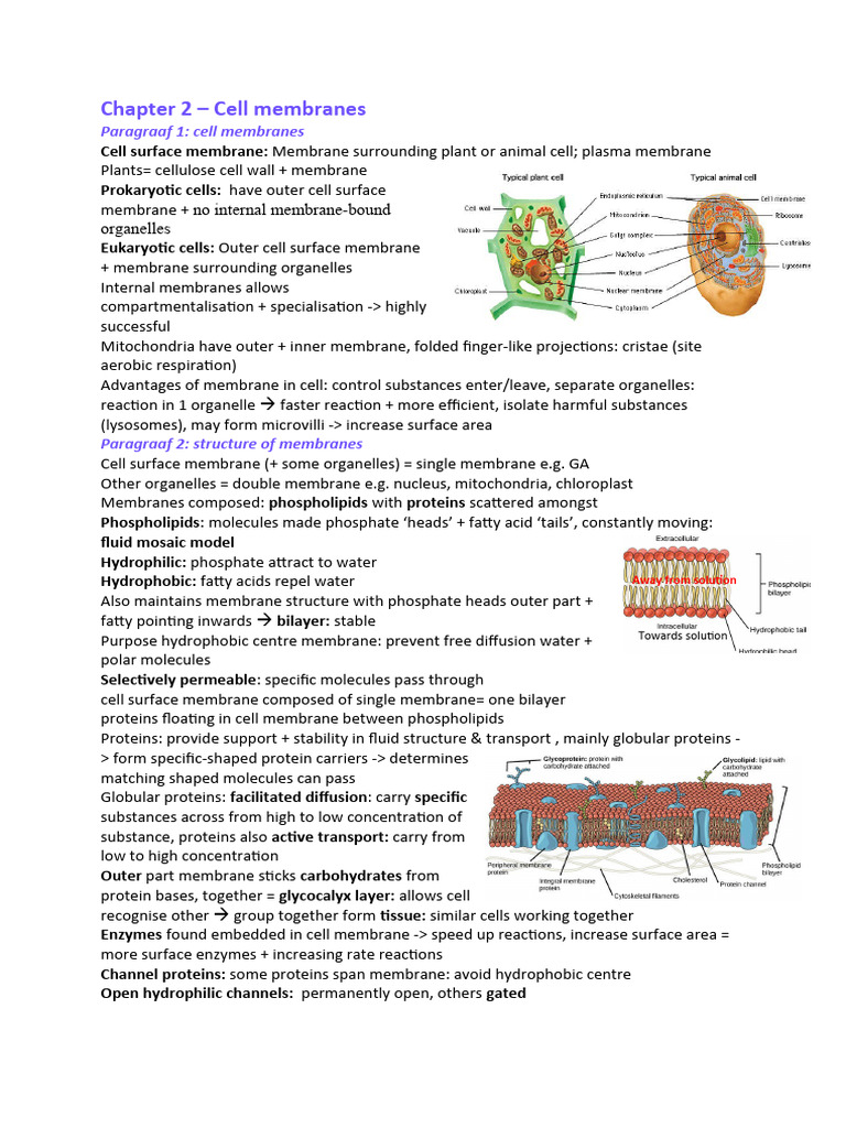Chapter 2 - Cell Membranes | PDF