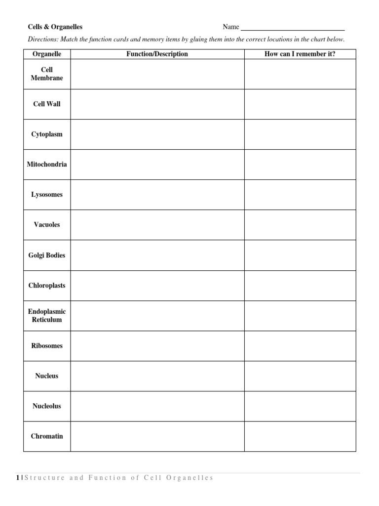 Cells Organelles WKST - GRADE 10 | PDF | Cell (Biology) | Lysosome