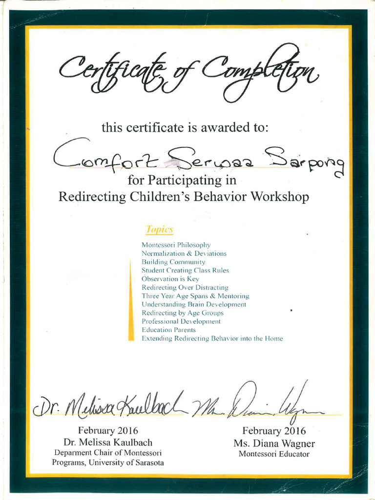 Comfort Serwaa Sarpong | PDF