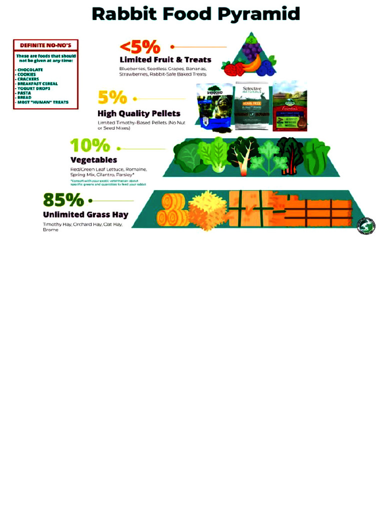 Rabbit Food Pyramid | PDF