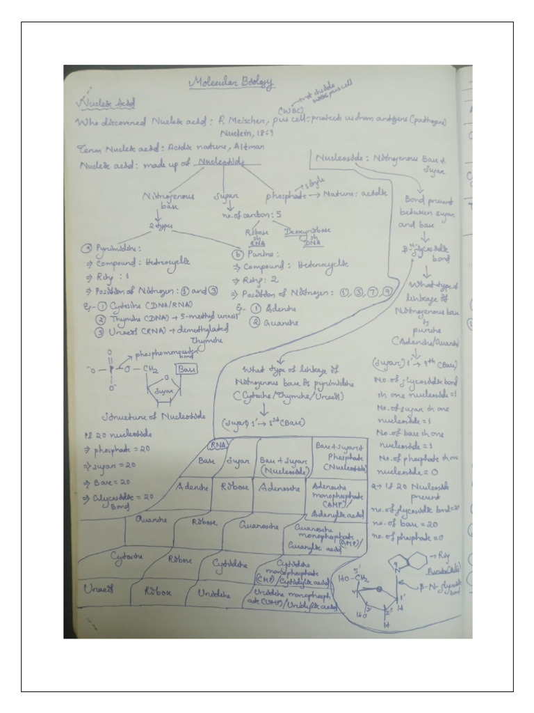 Mol Bio PG 1 To 2 | PDF