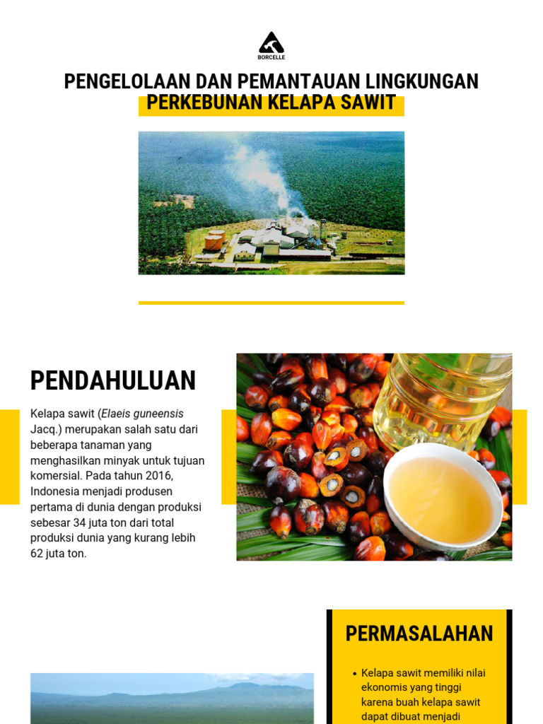Pengelolaan Dan Pemantauan Lingkungan Perkebunan Kelapa Sawit | PDF