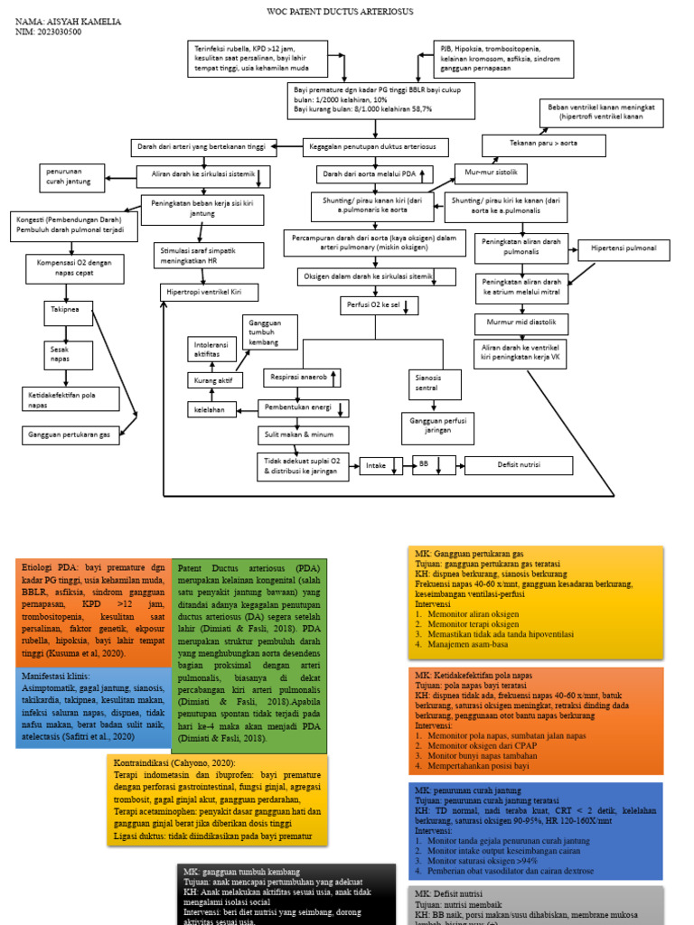 Woc Pda Fix | PDF