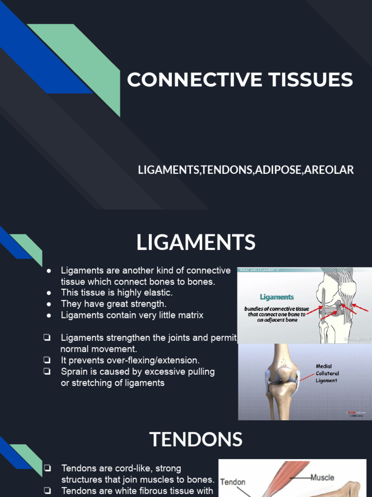 Module 13 - Content | PDF | Wellness