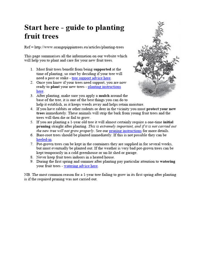 Fruit Tree Planting Instructions | PDF | Mulch | Trees