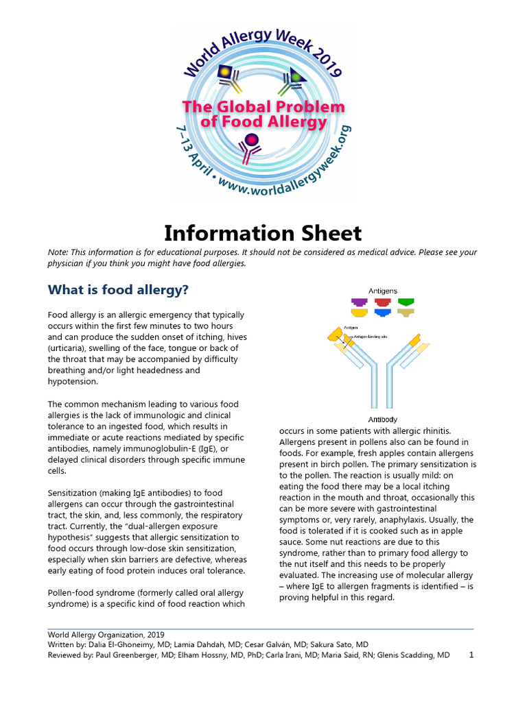 WAO-2019-Food-Allergy-Information-Sheet | PDF | Allergy | Food Allergy