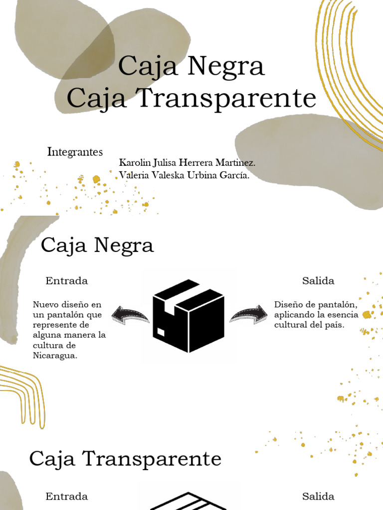 Caja Negra - Transparente | PDF | Diseño | Nicaragua