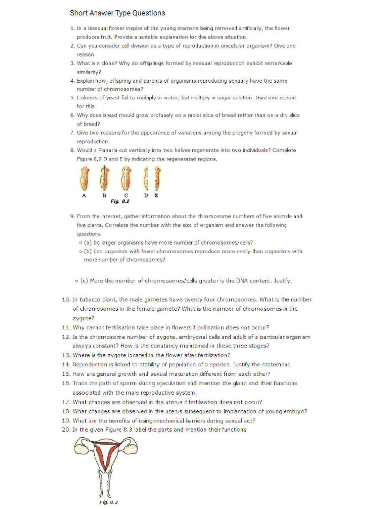 Important Questions For Class 10 Science Chapter 8 How Do Organisms ...