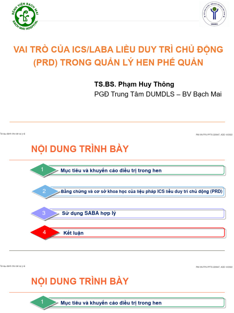 Vai Tro ICS LABA Trong HPQ | PDF