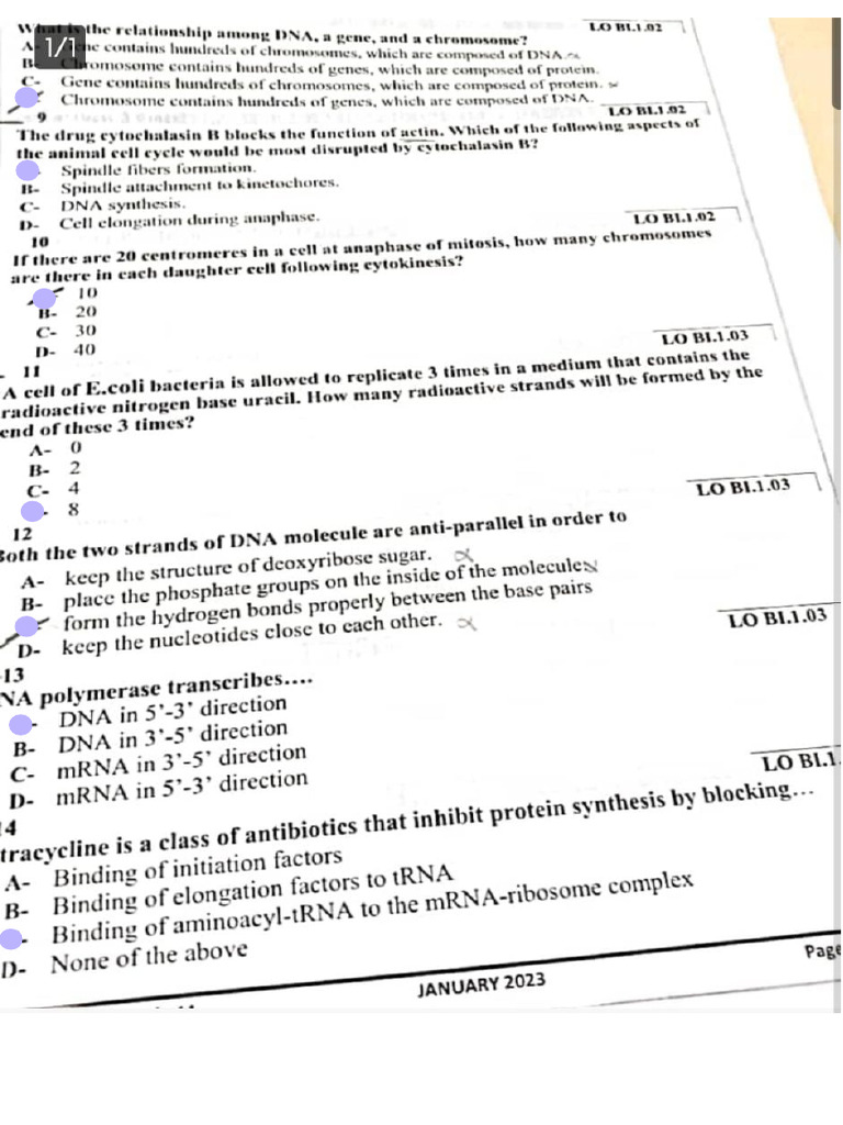 Biology Final Exam 2022-2023 | PDF