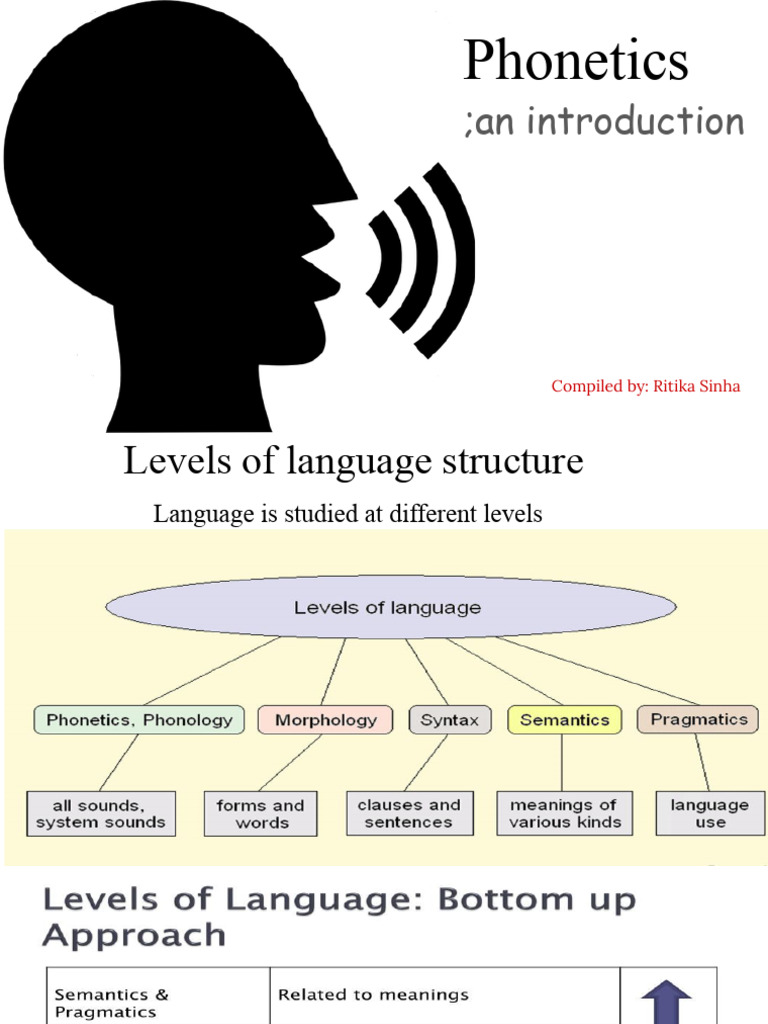 Phonetics Introduction | PDF | Foreign Language Studies