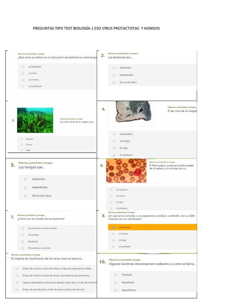 Tema 5 - Virus Prototictas y Hongos Test | PDF