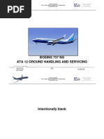 SAFA Ramp Checklist | PDF | Vehicles | Manufactured Goods