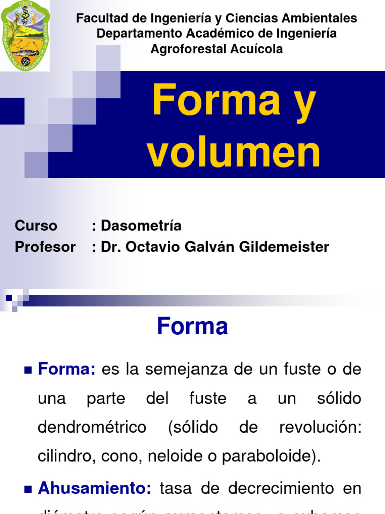 CLASE 4 5 Volumen Factor de Forma | PDF