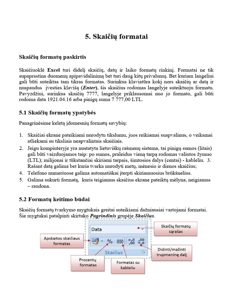 Skaičių Formatai | PDF