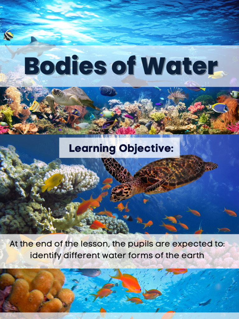 Bodies of Water | PDF