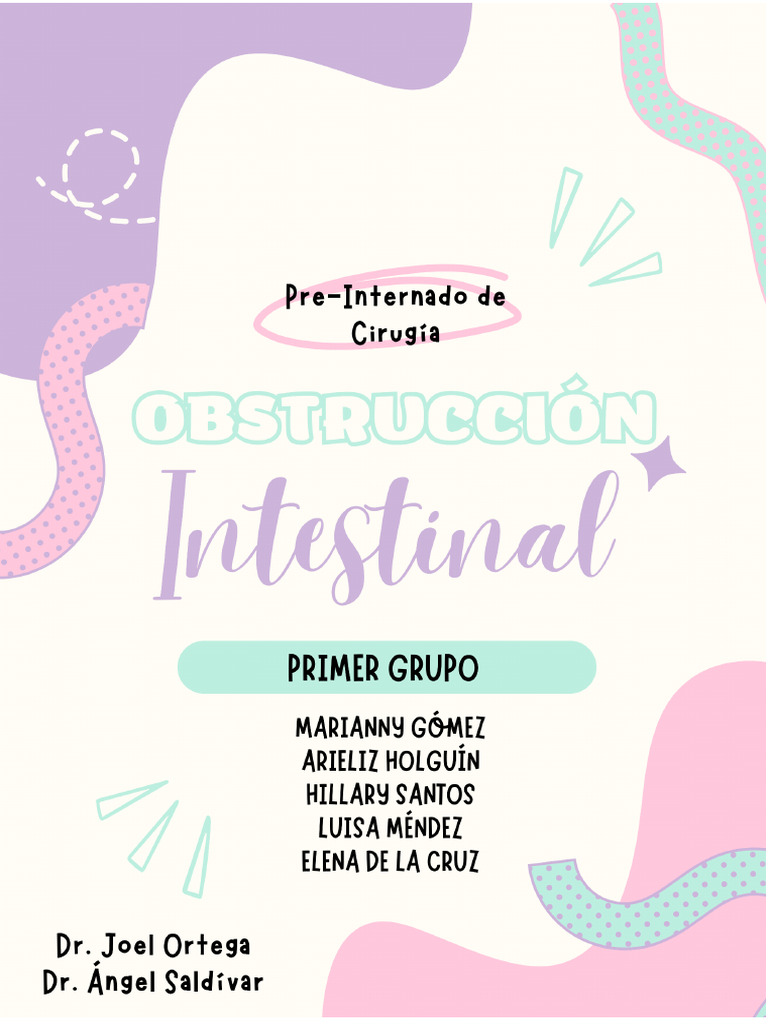Obstruccion Intestinal Pdf Enfermedades Y Trastornos