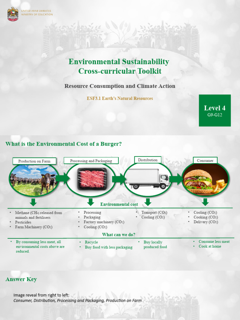 Burger Cost Economy | PDF | Meat | Consumption (Economics)