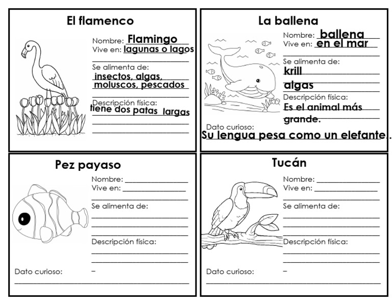 Imprimir 30 - Fichas Informativas | PDF
