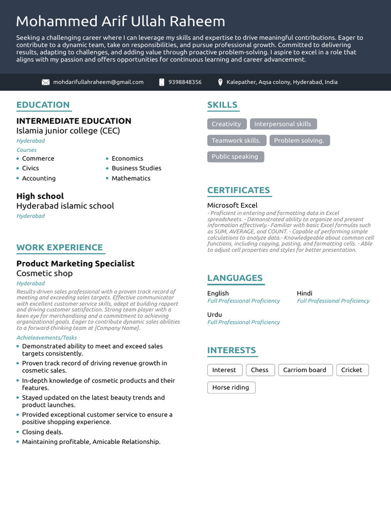 Mohammed's Resume | PDF | Microsoft Excel | Sales
