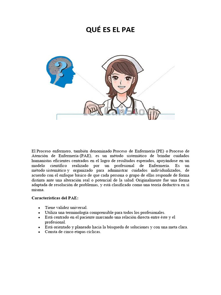 Qué Es El Pae | PDF