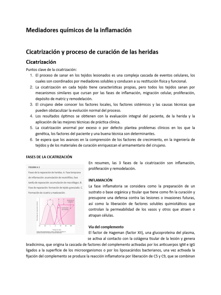 Ciru Cuarto Parcial 1 | PDF | Cicatrización de la herida | Coagulación