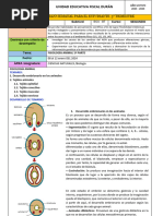 Atlas del Desarrollo Embrionario del Perro | PDF | Embrión | Procesos ...