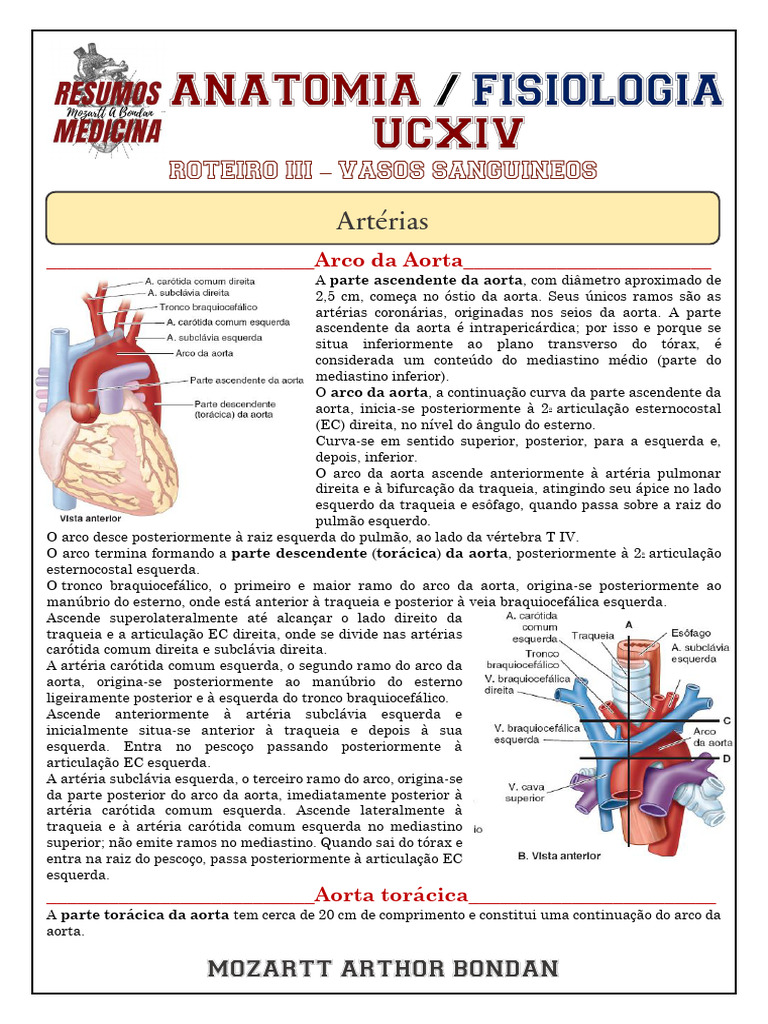 Resumo Anatomia e Fisiologia - Roteiro Iii | PDF