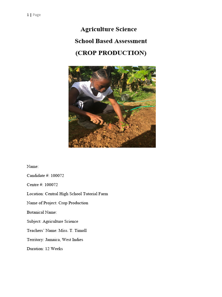 Crop Production Sample SBA | PDF | Fertilizer | Soil
