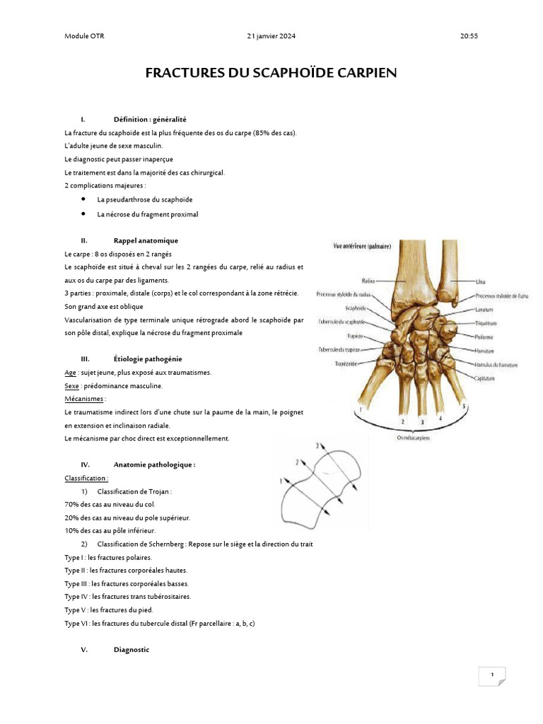 Classification des fractures du scaphoïde | PDF | Appareil locomoteur ...